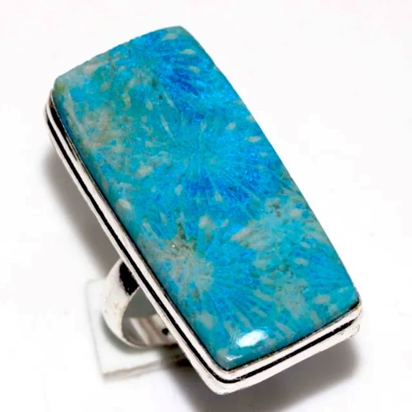 Jewelry | One Of A Kind Handmade Fossil Coral Artisan Ring 935 Sterling ...